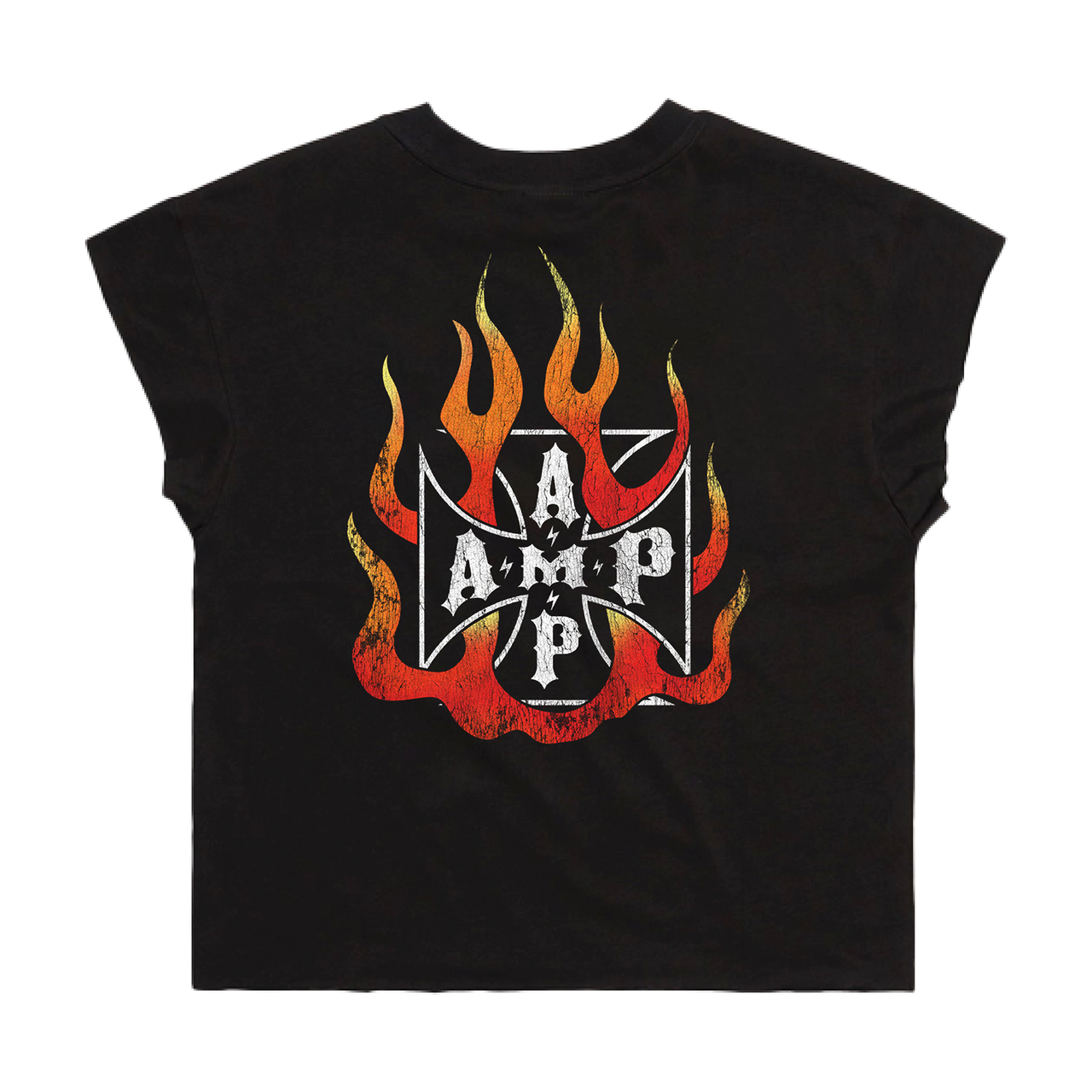 AMP Official Store – AMP Shop